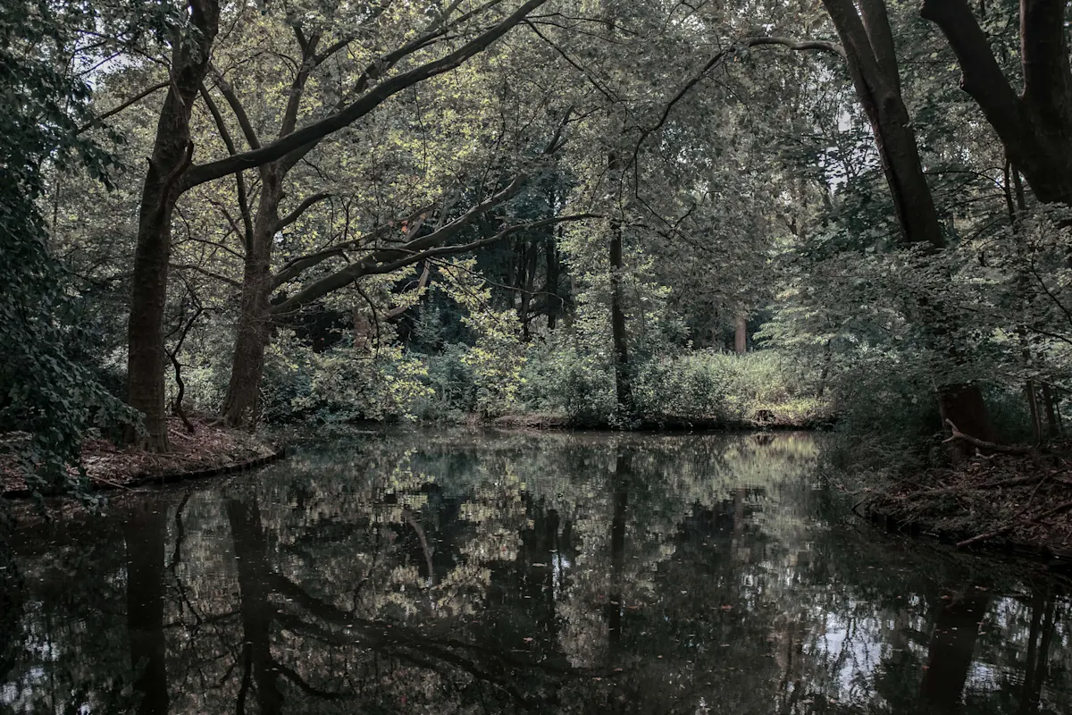 WePresent | Heba Khamis on the refugees making ends meet in Berlin