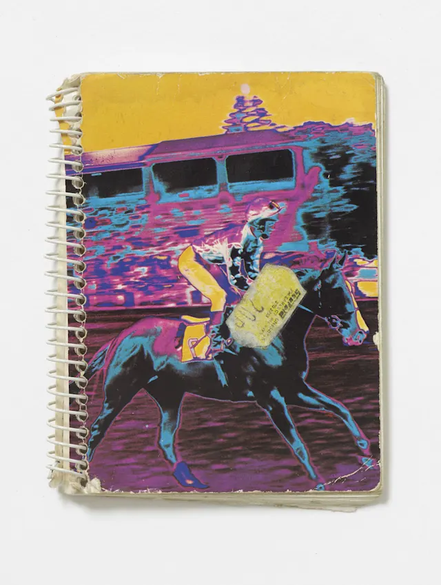 WePresent | “Life Is Excellent” explores David Robilliard’s life.