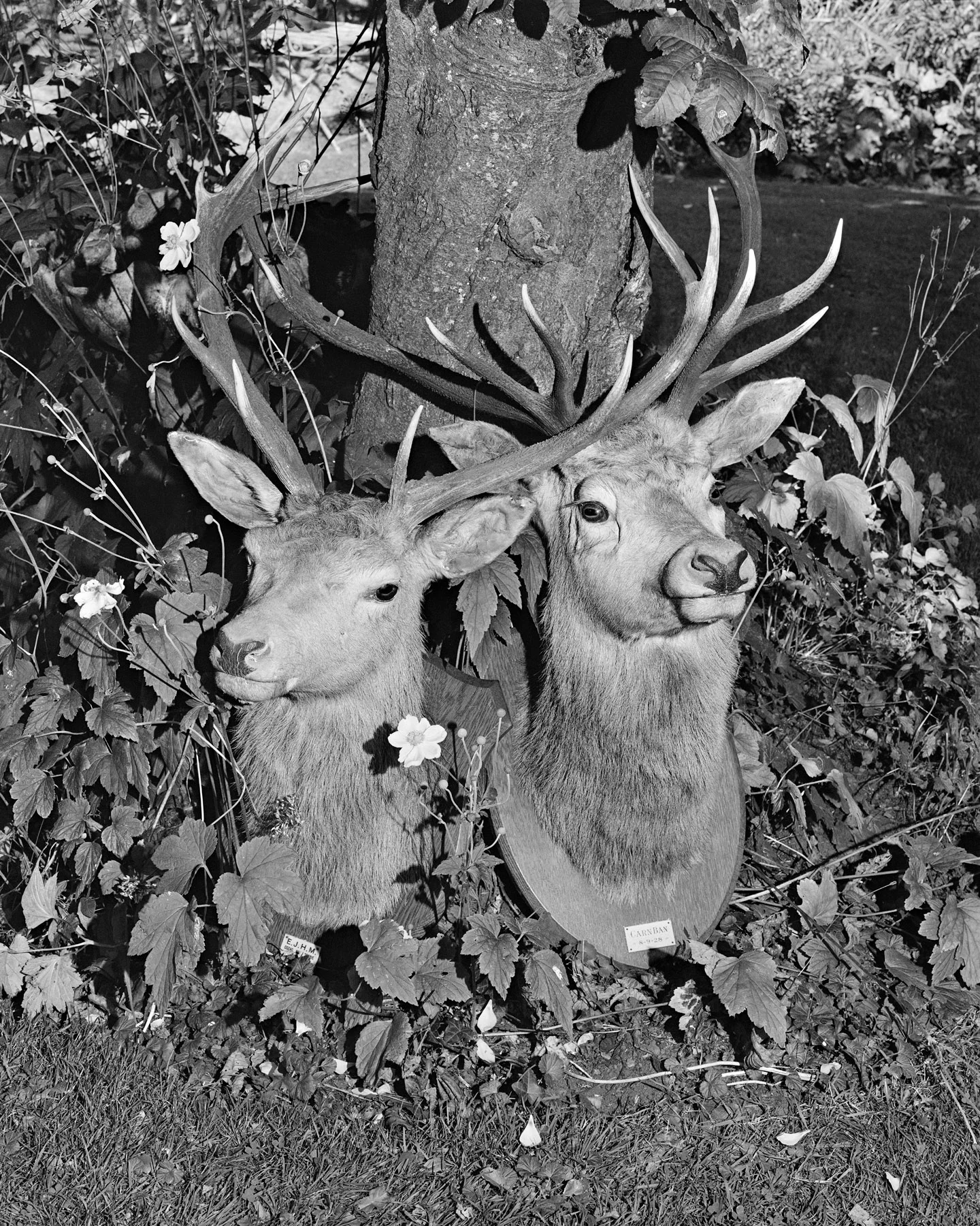 WePresent | Alice Poyzer’s photo story about autism and being yourself