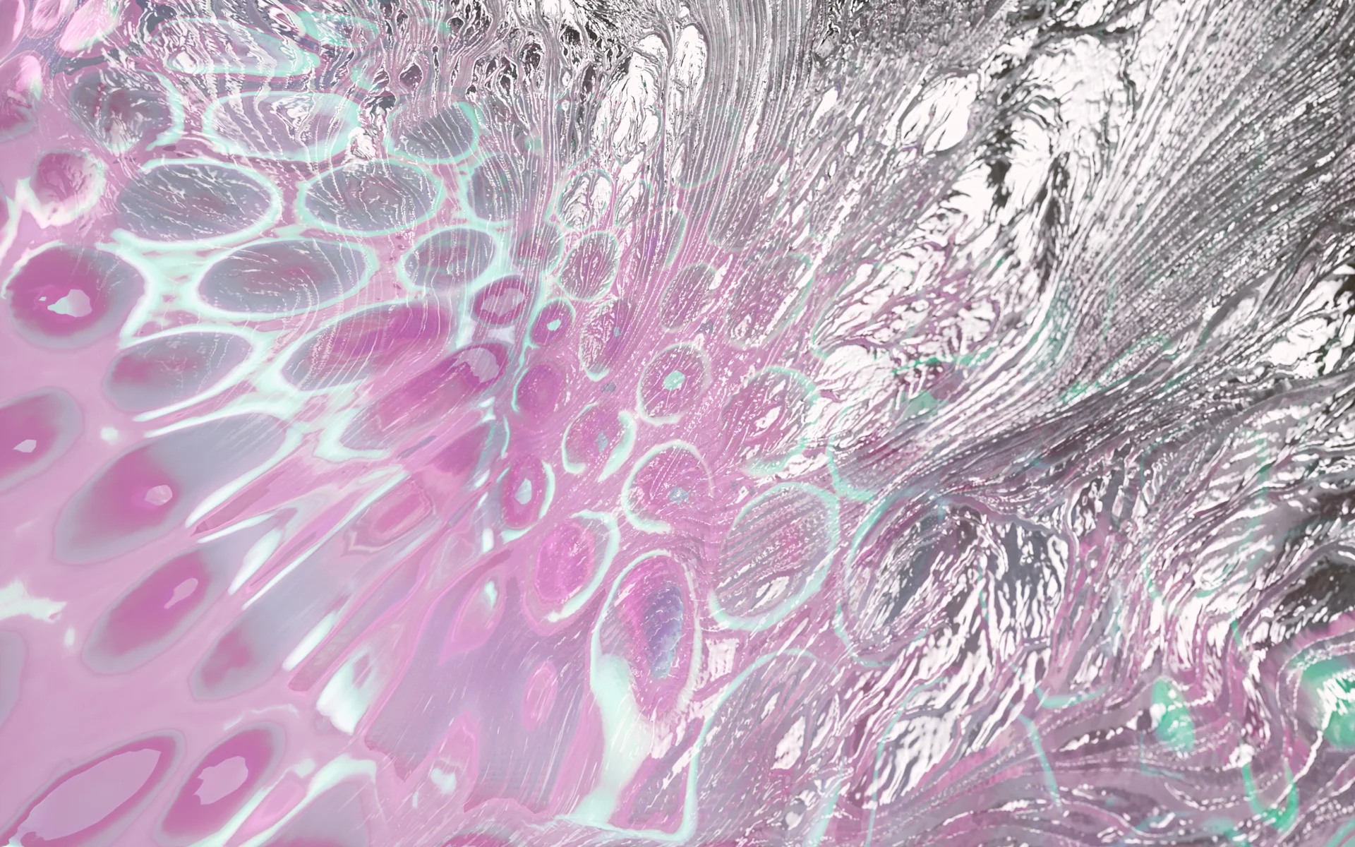 WePresent | Showcasing digital artist Rose Pilkington
