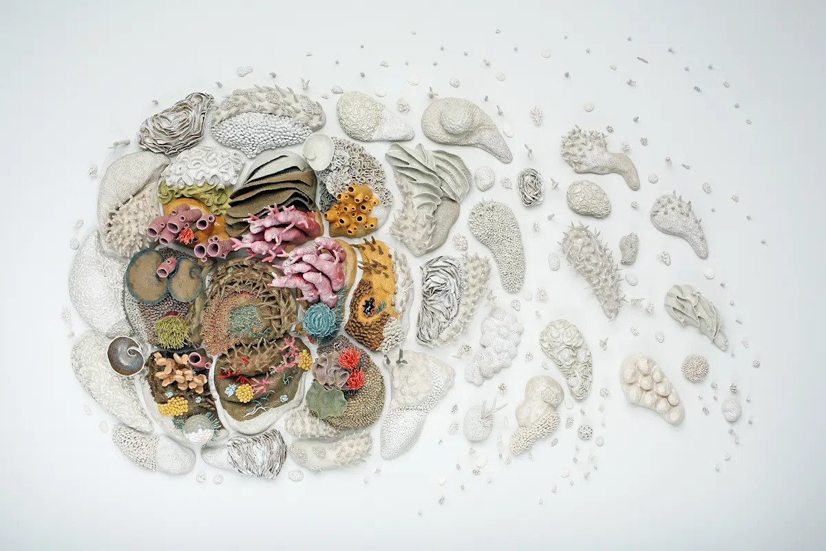 WePresent | Courtney Mattison’s ceramics celebrate coral reefs