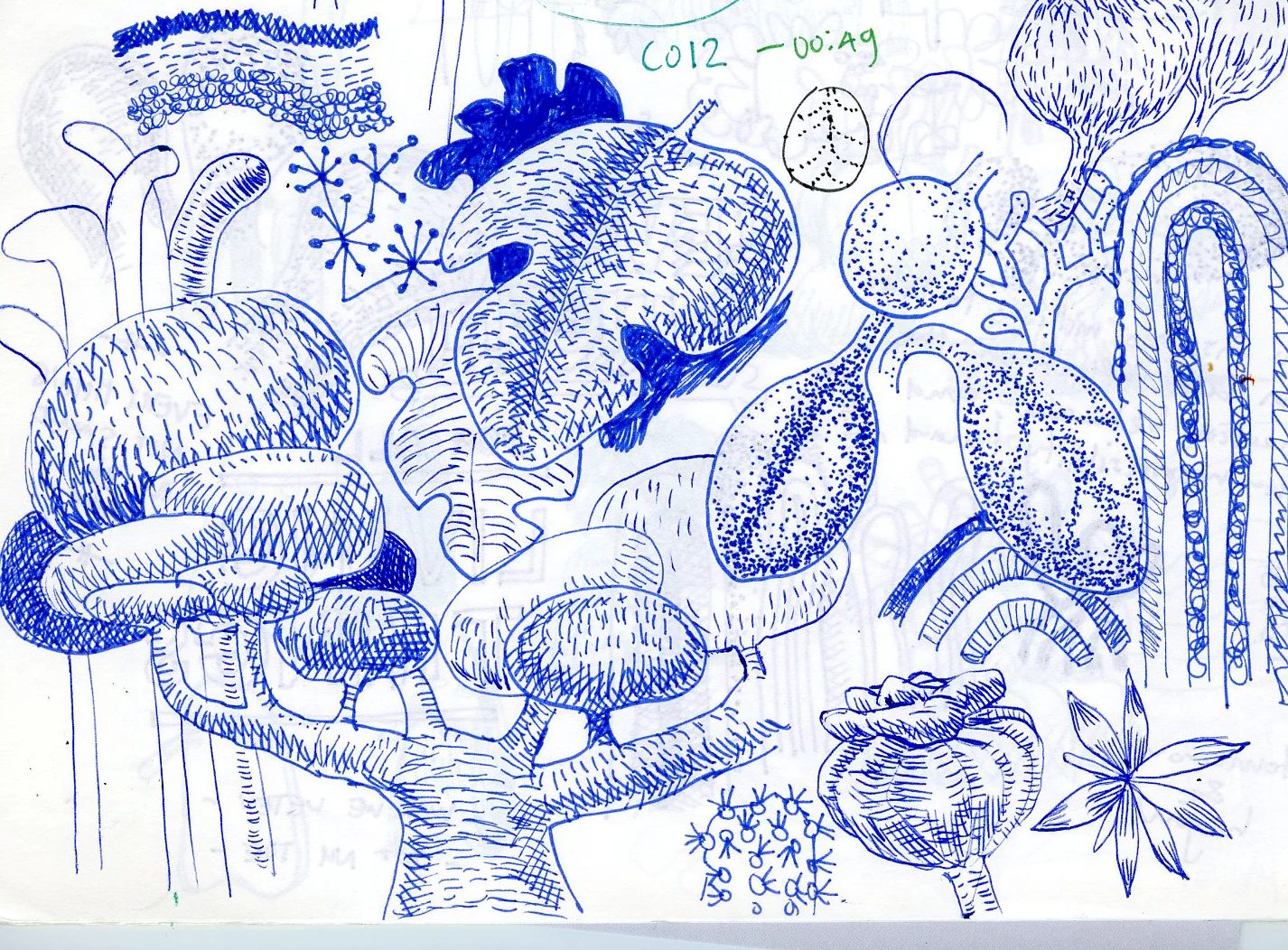 WePresent | How Haig Balian revitalized Amsterdam’s ageing zoo