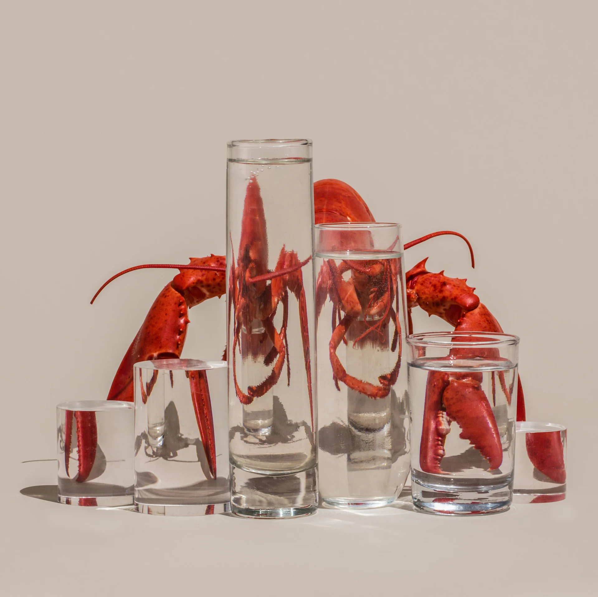 WePresent | Suzanne Saroff’s process begins with getting groceries