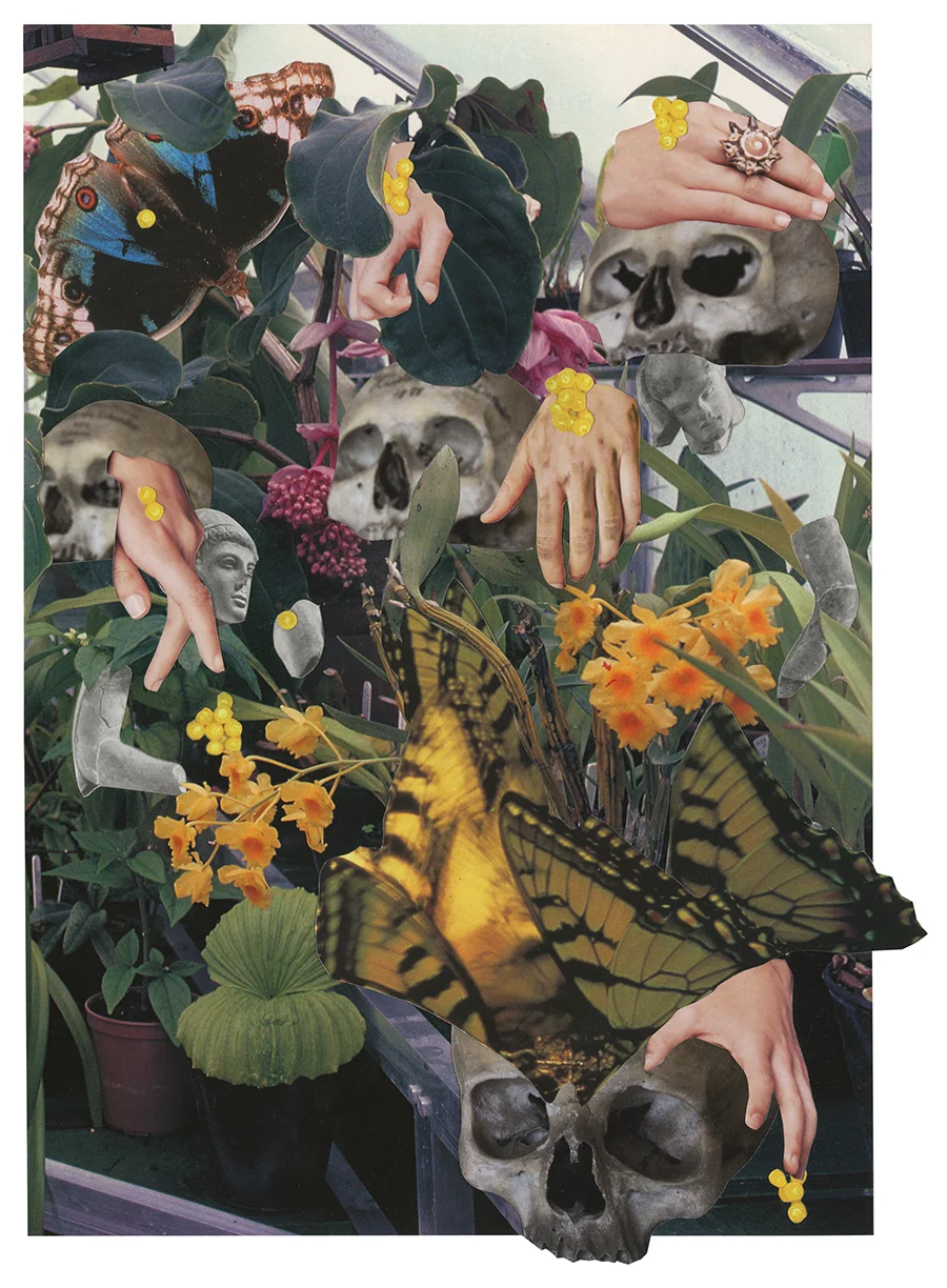 WePresent | Ashkan Honarvar’s collages meditate on the human condition