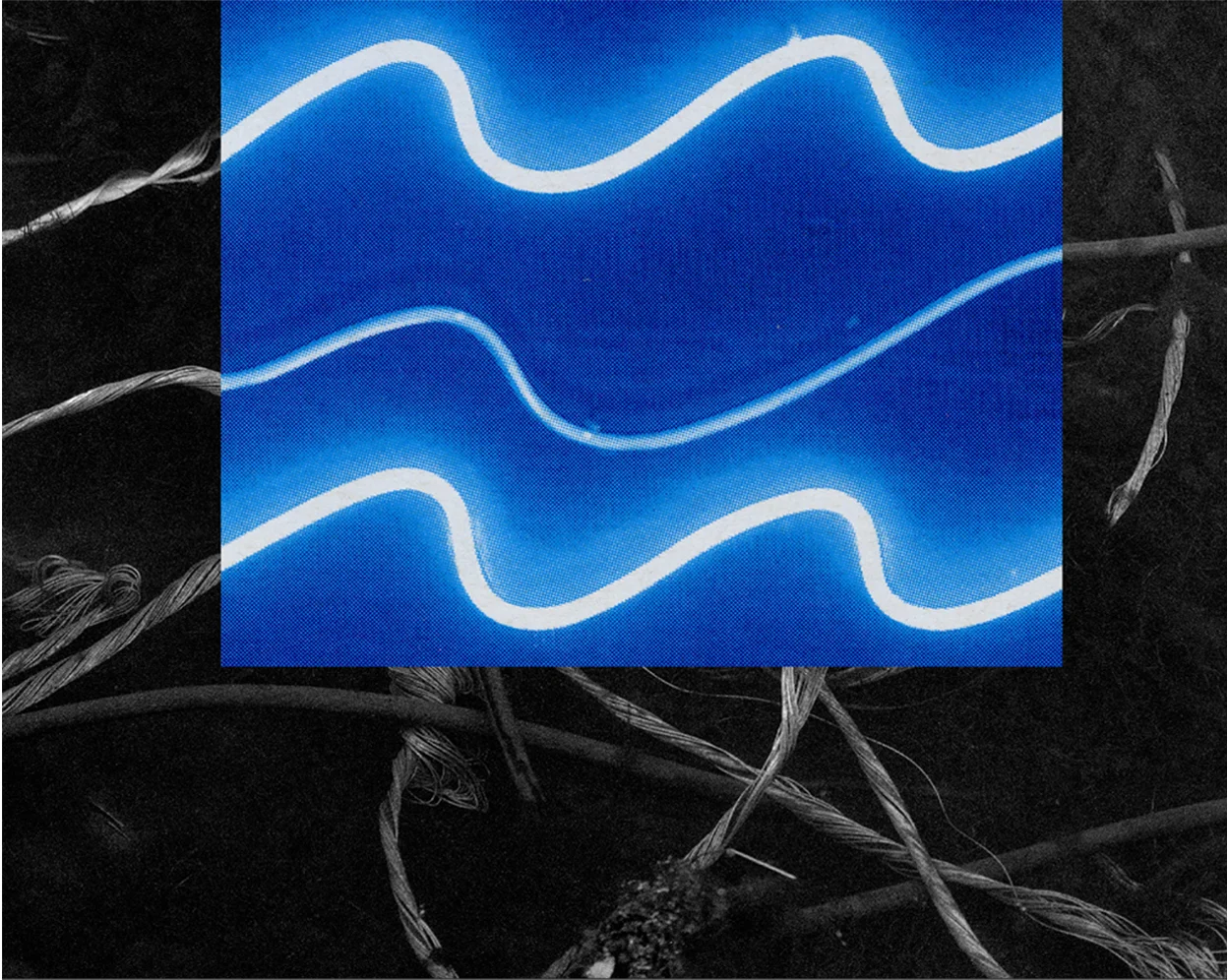 WePresent | Unseen Amsterdam’s new class of rising photographers