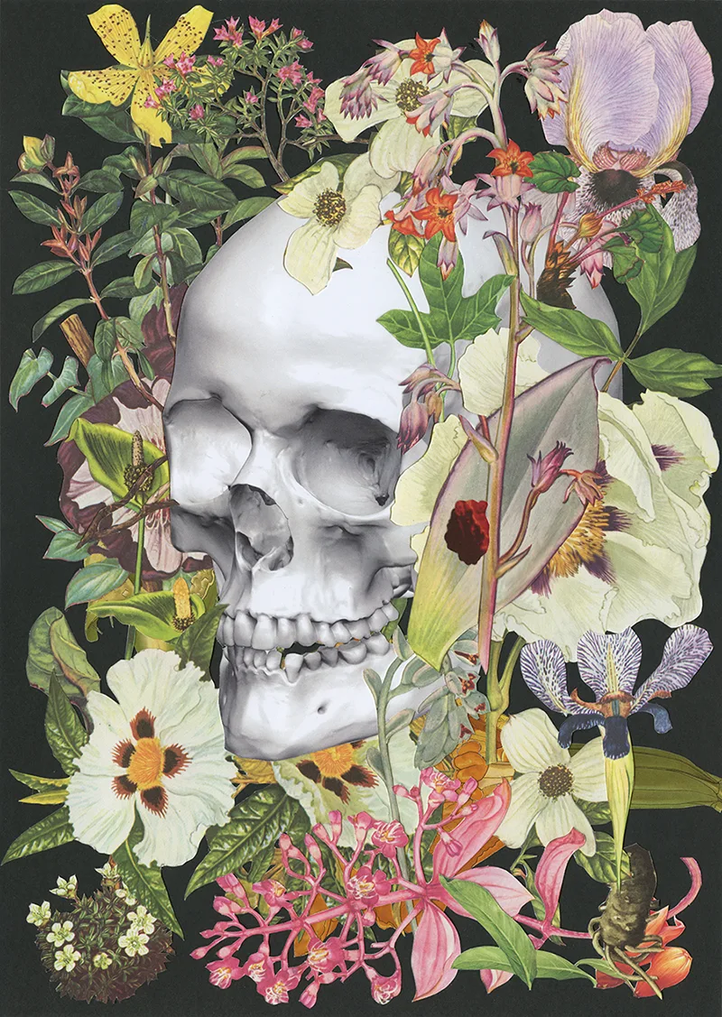 WePresent | Ashkan Honarvar’s collages meditate on the human condition