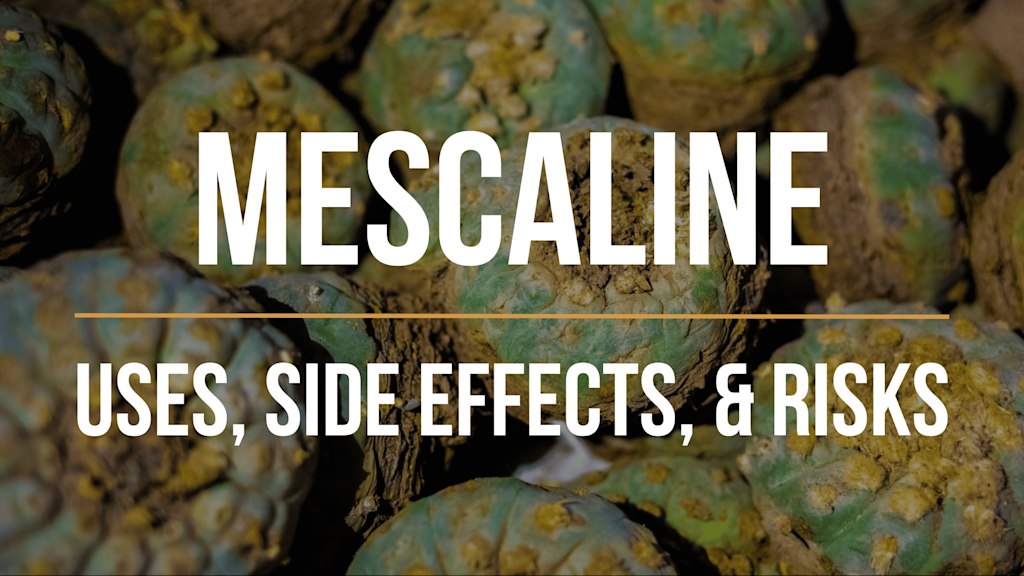 Mescaline: Uses, Side Effects, and Risks