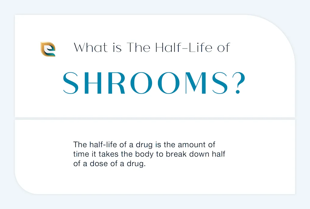 How Long do Shrooms Stay in Your System?