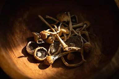 Long-Term Side Effects of Magic Mushrooms: What You Need to Know