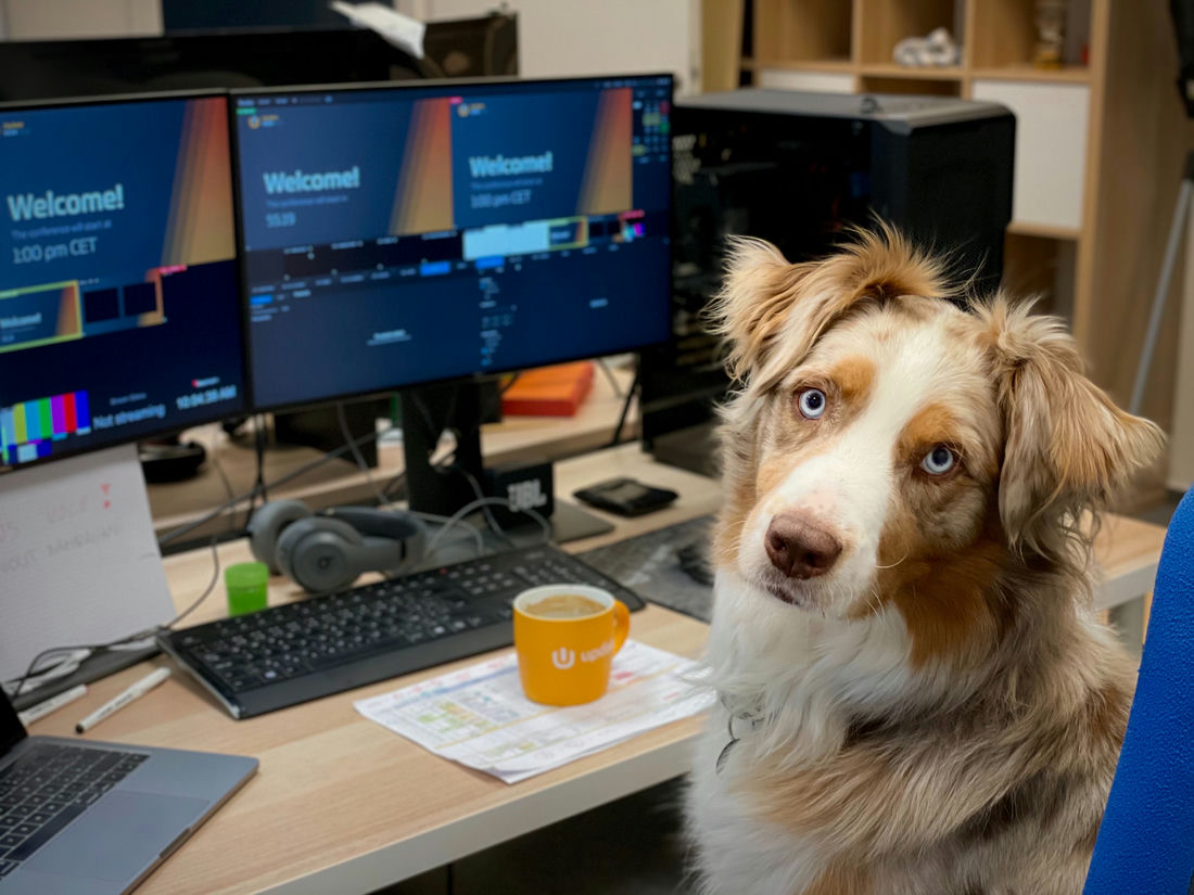 Animals in The Workplace | The Happiness Index