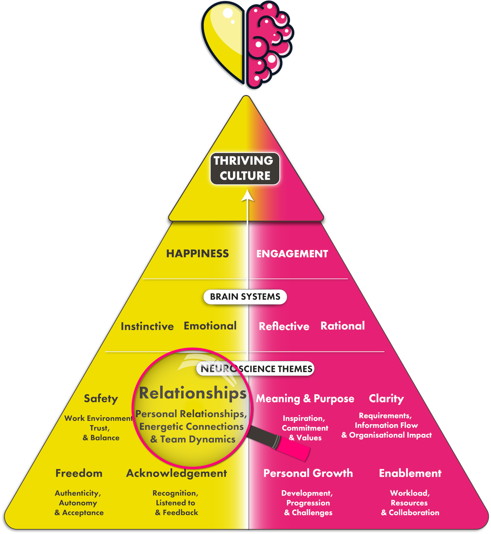 Energetic connections & employee happiness | Neuroscience