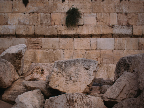 August | Awareness Calendar | The Happiness Index