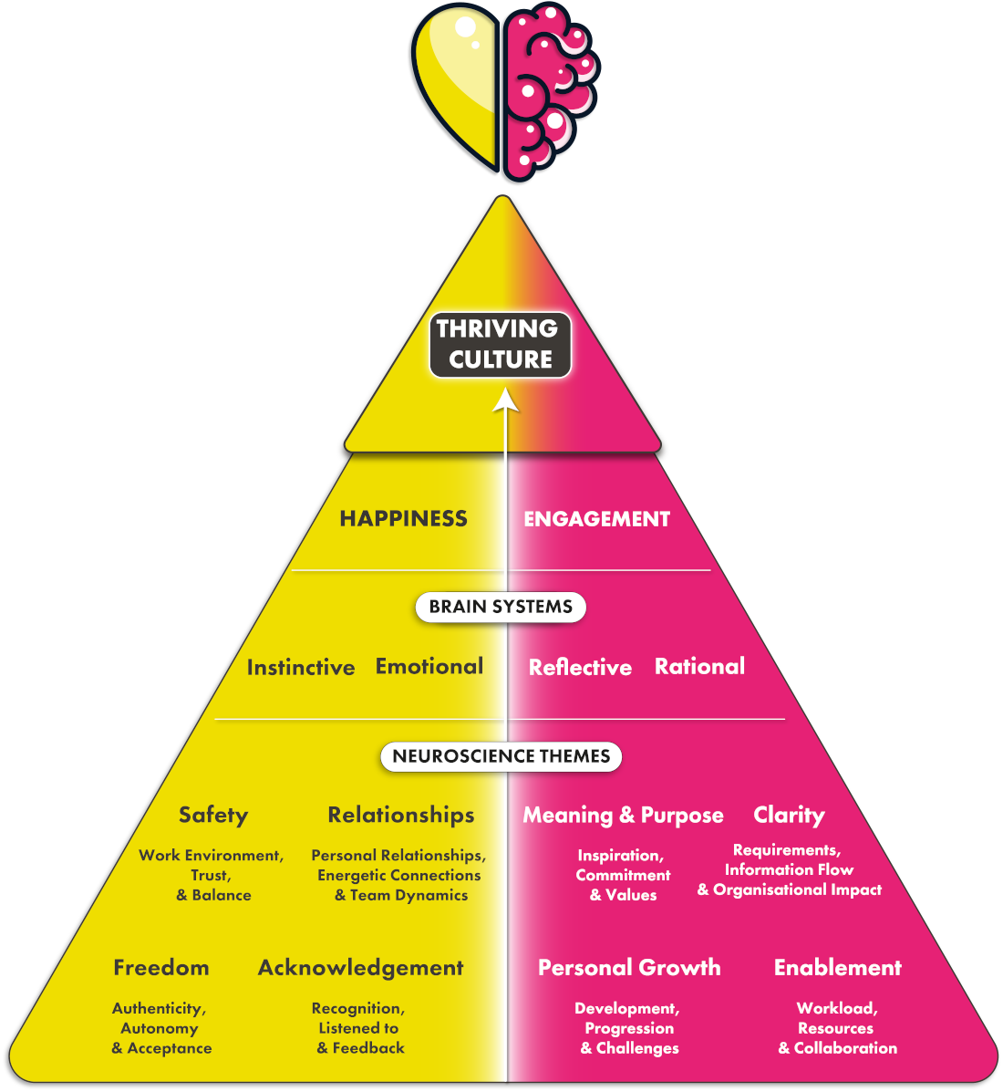 Importance of Organisational Culture | The Happiness Index
