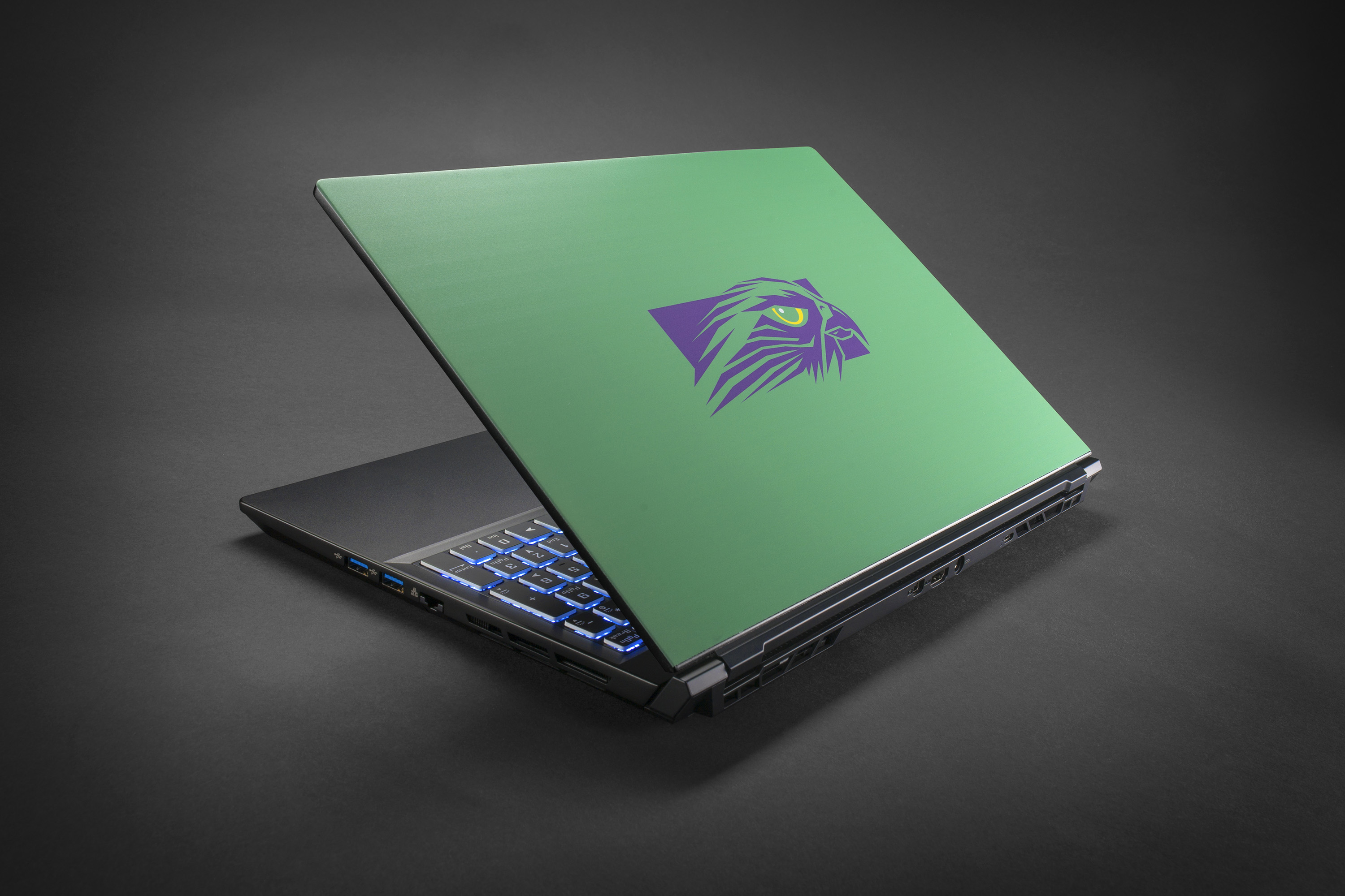 green with purple falcon