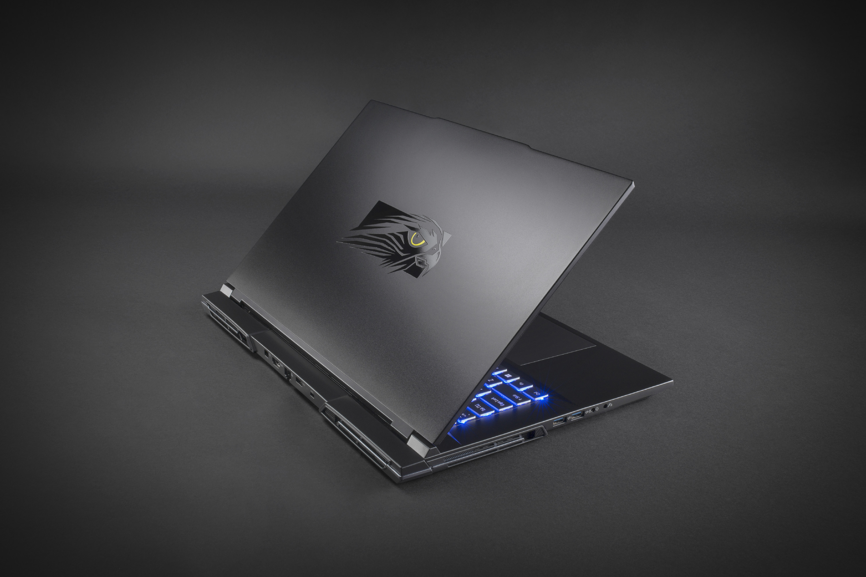 standard drx the standard drx has an anodized aluminum finish with a ...