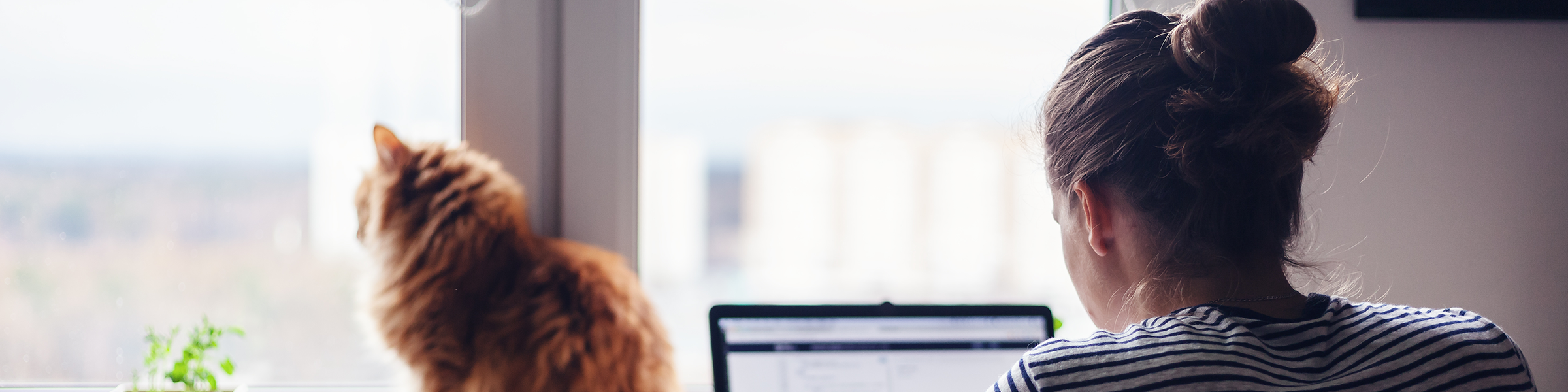 Can hybrid be as seamless onsite? | V-Hub | Vodafone Ireland