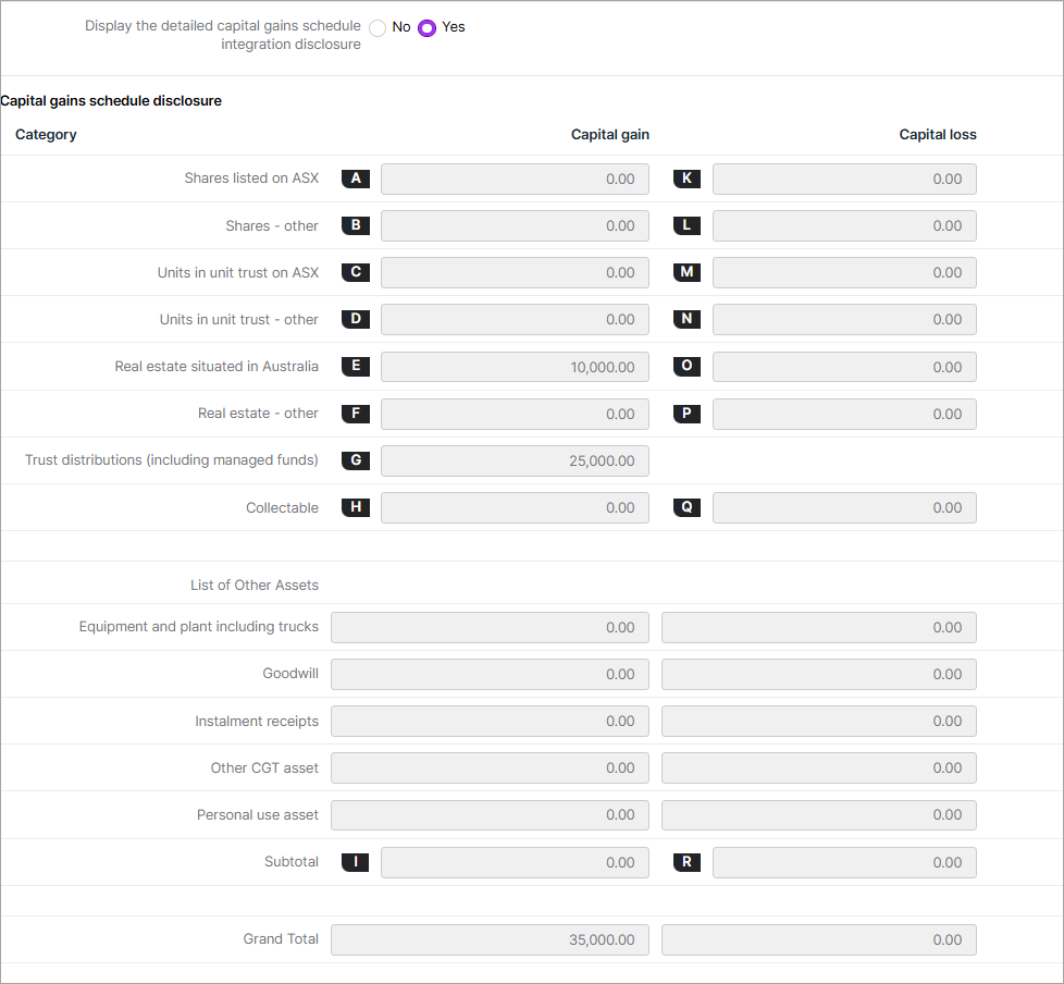 Capital gains worksheet in Practice Compliance