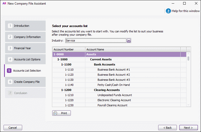 Create a company file
