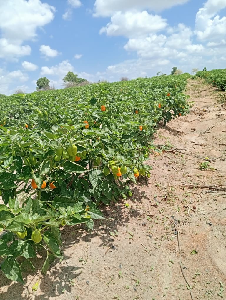 NEG AgriTechnologies