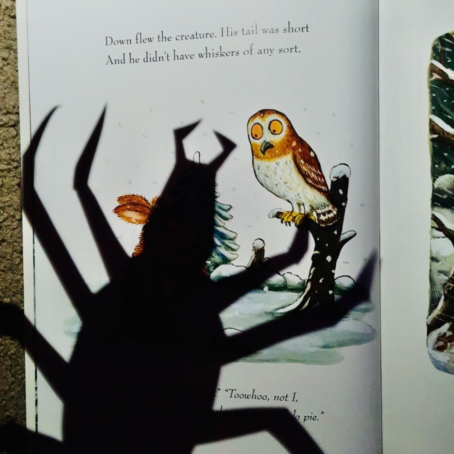 Shadow Storyboard | High quality literacy lesson - Cleverbean