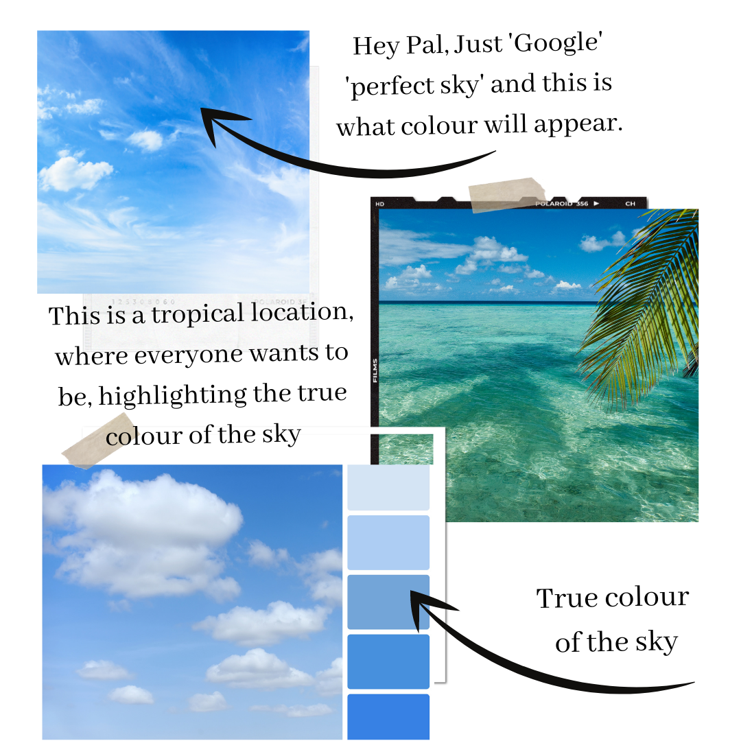 Crayon Persuasion|Free Comprehension Connecting Reading Lesson - Cleverbean