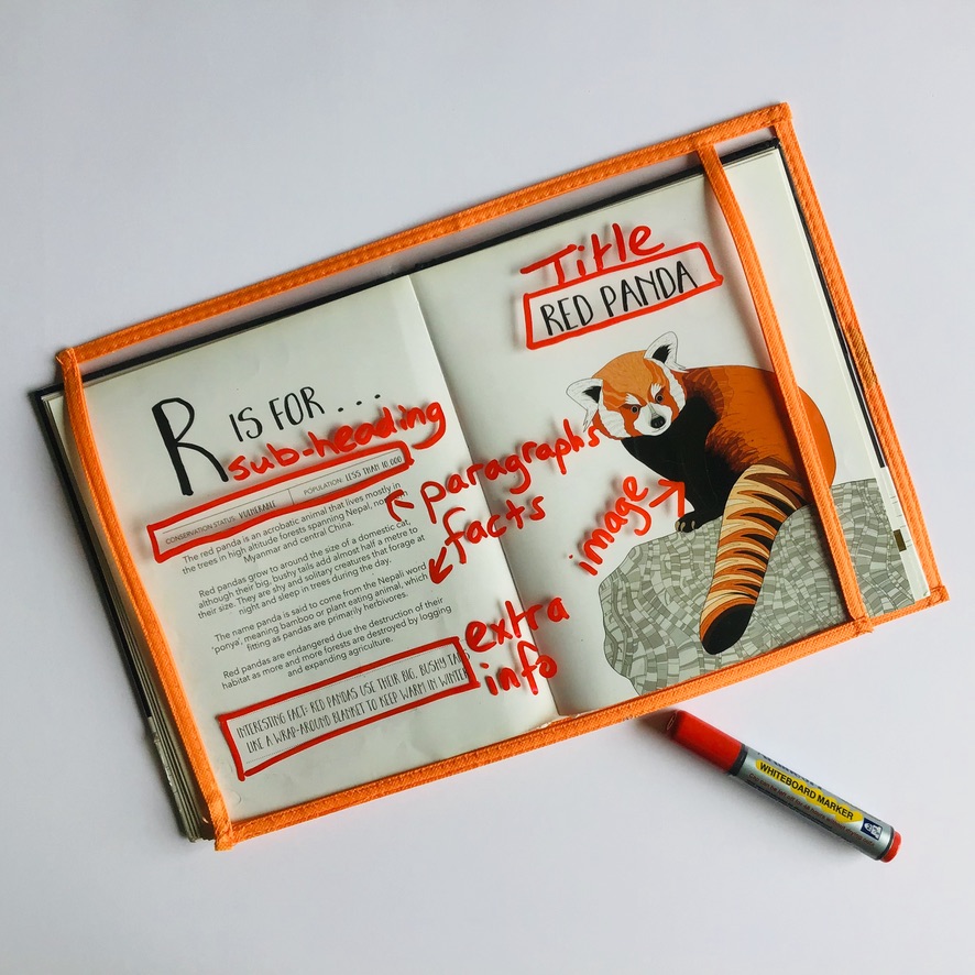 Animal Non Fiction Texts - Features | High quality literacy lesson ...