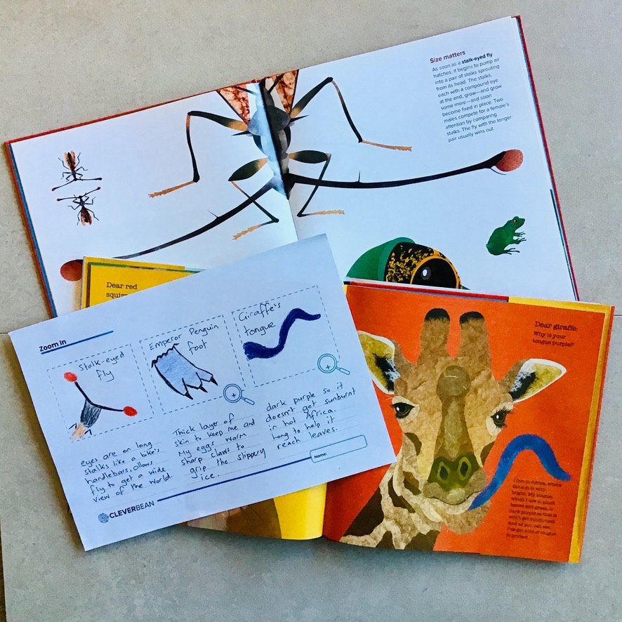 Animal Adaptations - Zoom In|Free Comprehension Connecting Reading ...