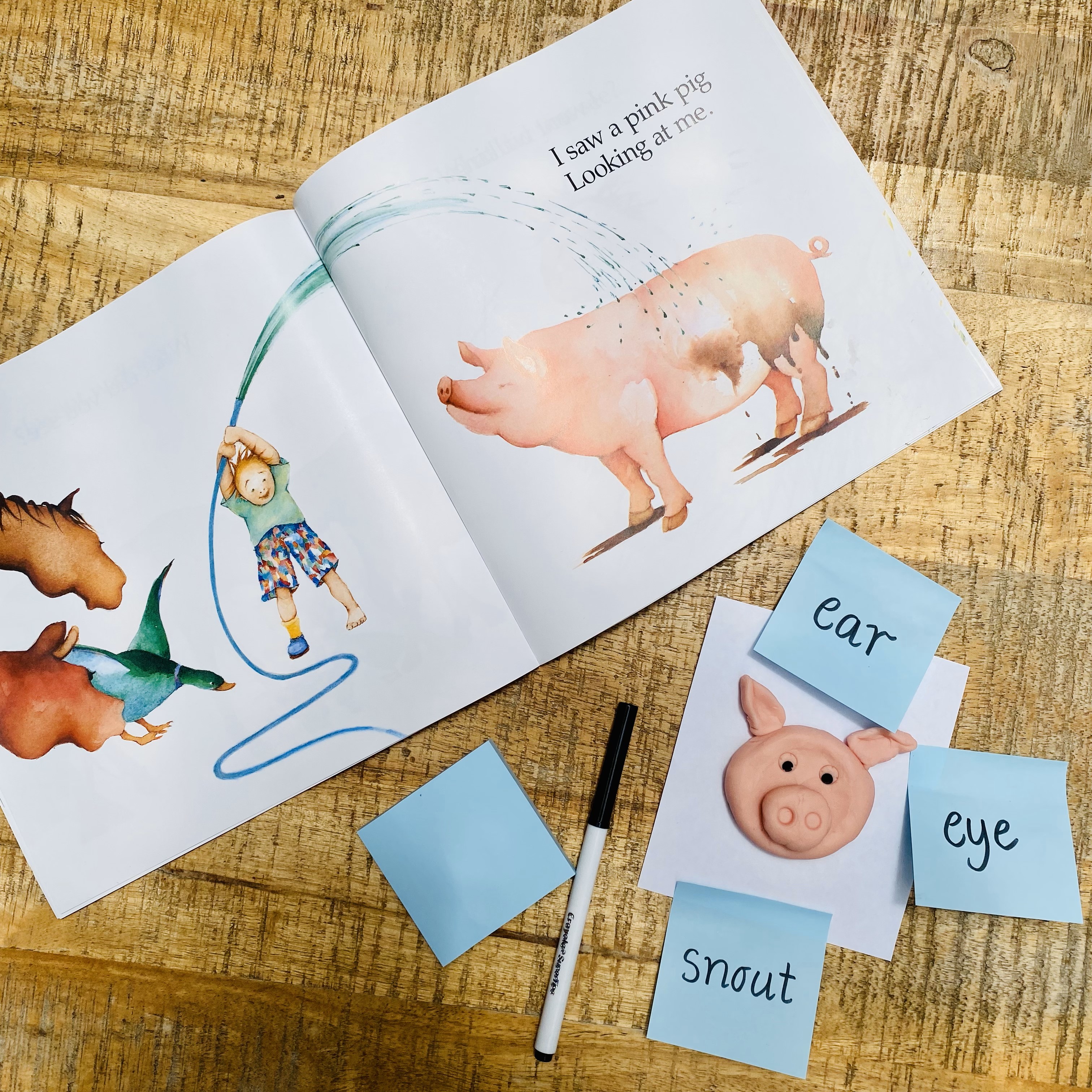 Exploring Sentences - Labelling | High quality literacy lesson - Cleverbean