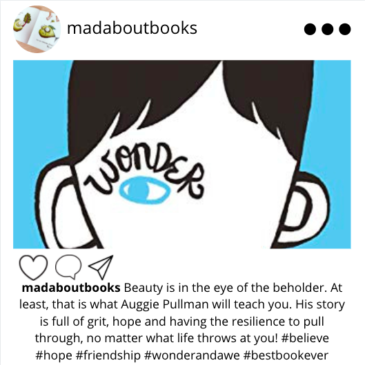Instabook | High quality literacy lesson - Cleverbean