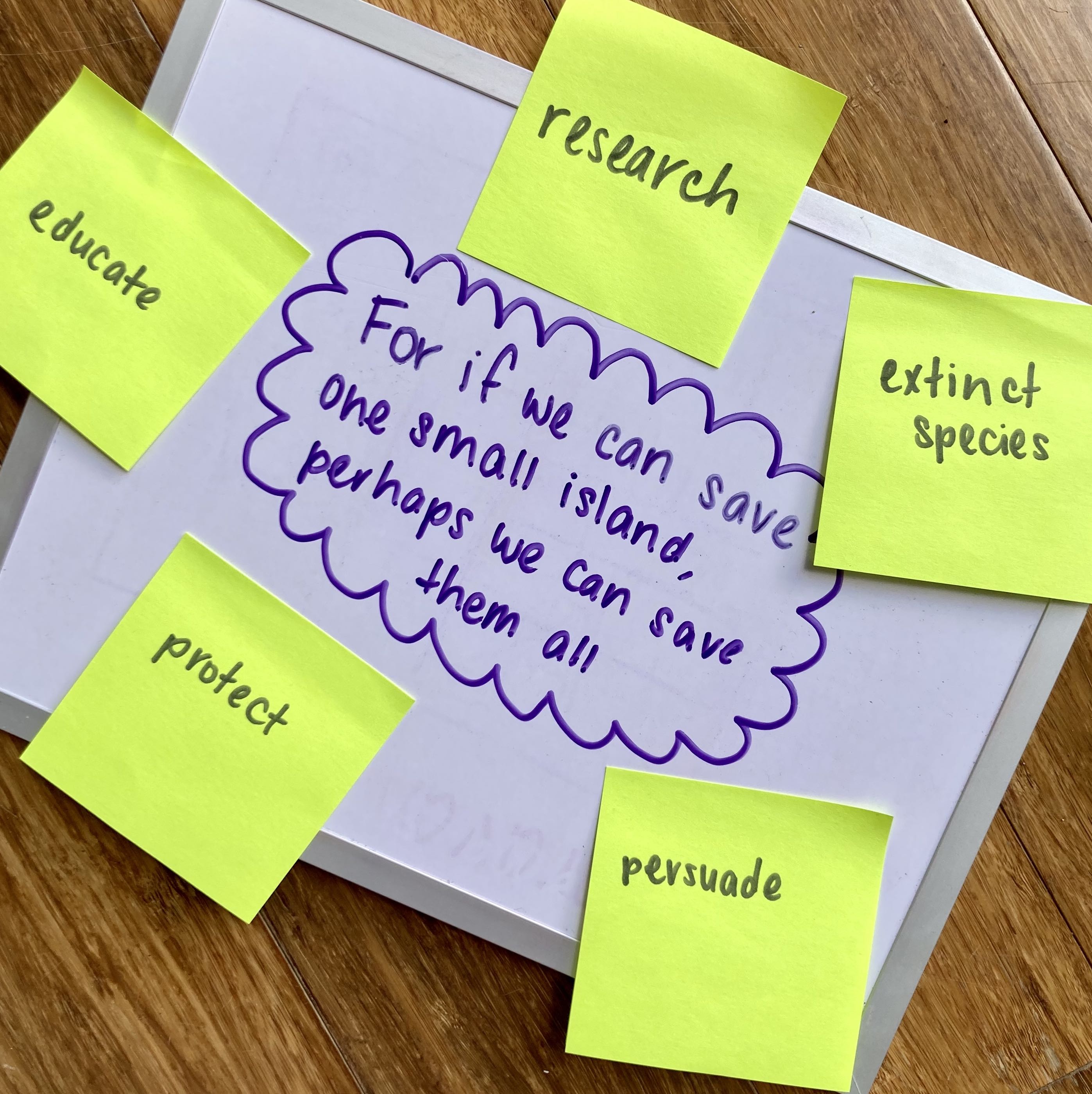 One Small Island | Cleverbean