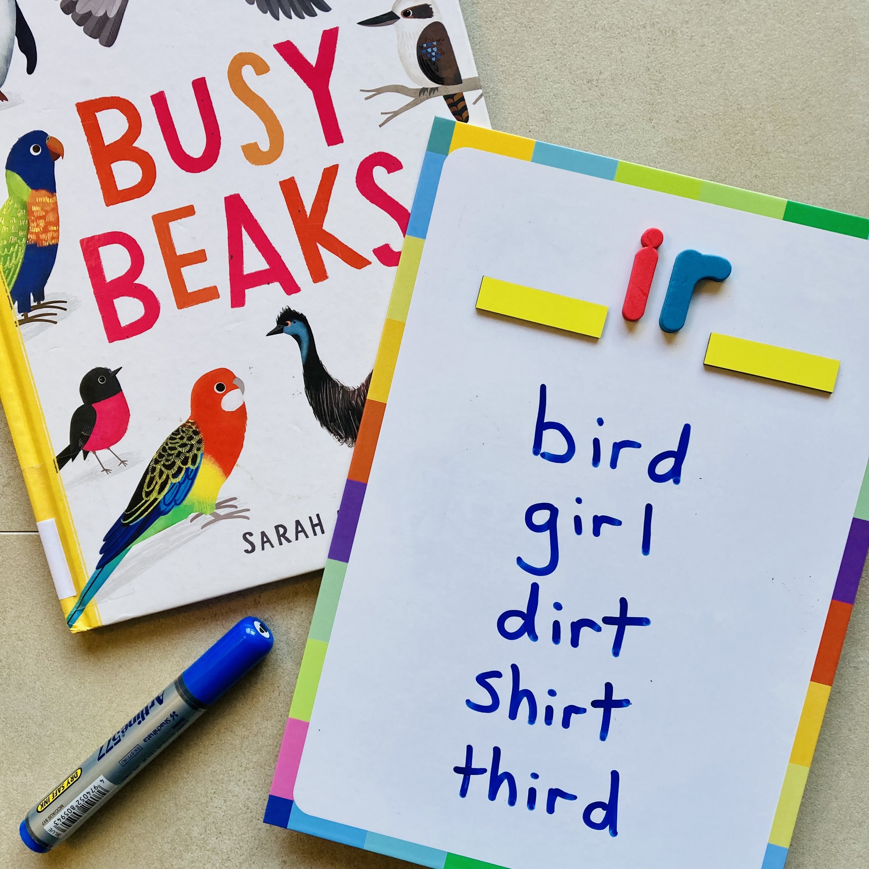 Phonic Companion Set 4 - Focus ir | High quality literacy lesson ...