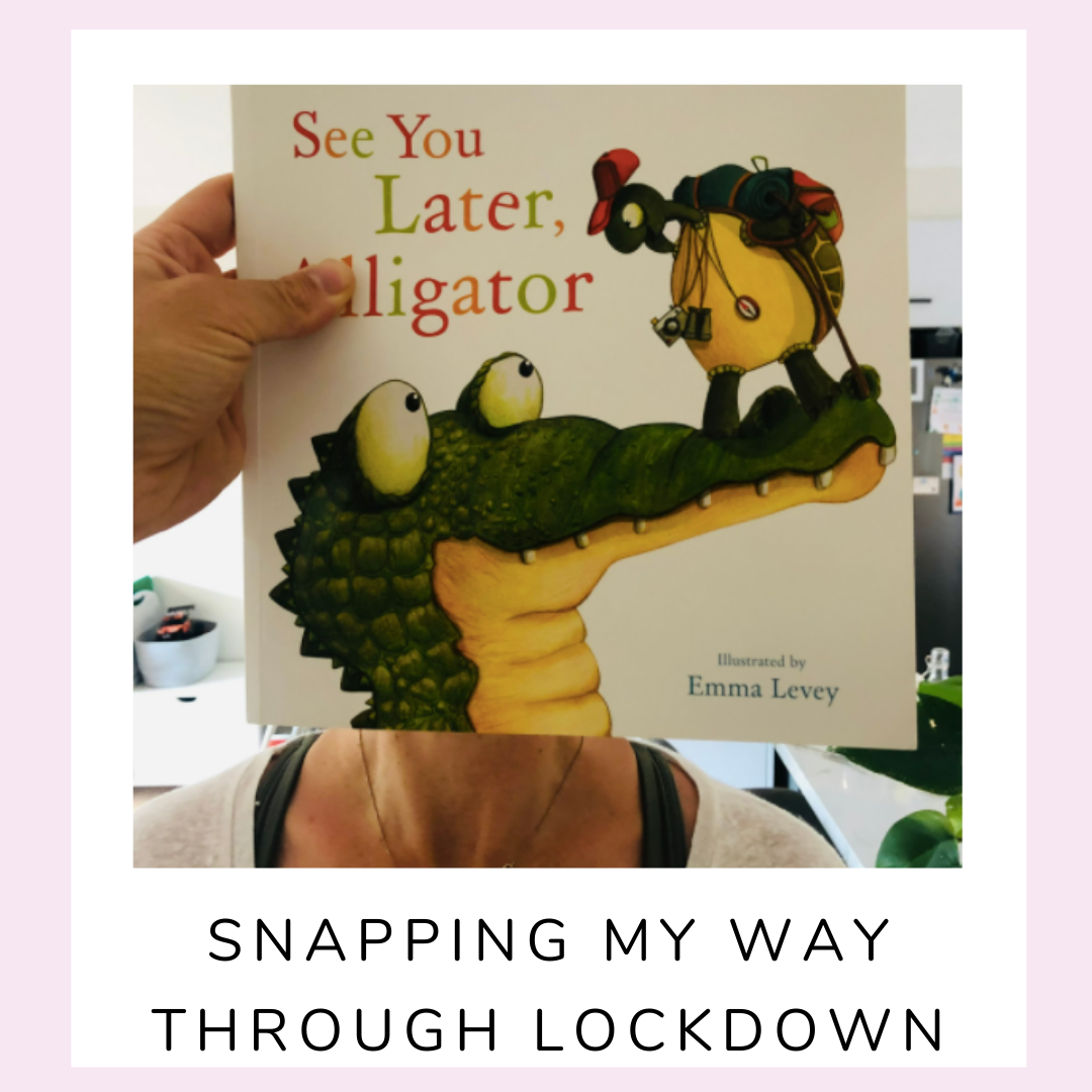 Sassy Snaps | High quality literacy lesson - Cleverbean