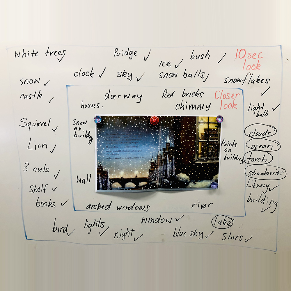 What Can You See? | High quality literacy lesson - Cleverbean