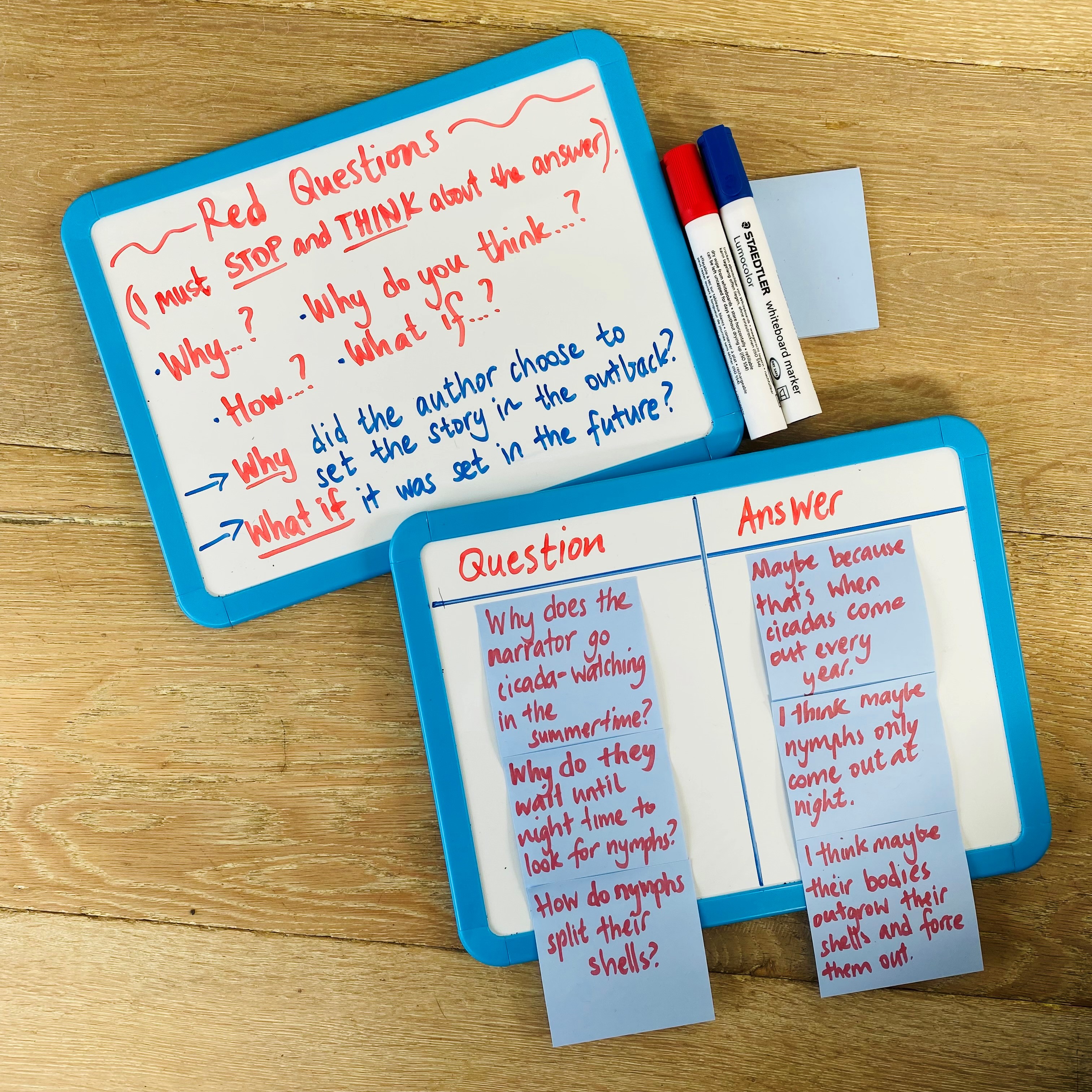 Red Questions | High quality literacy lesson - Cleverbean