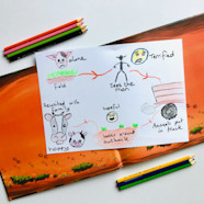 Sorry Day Story Map High Quality Literacy Lesson Cleverbean Sorry Day Story Map High Quality Literacy Lesson Cleverbean