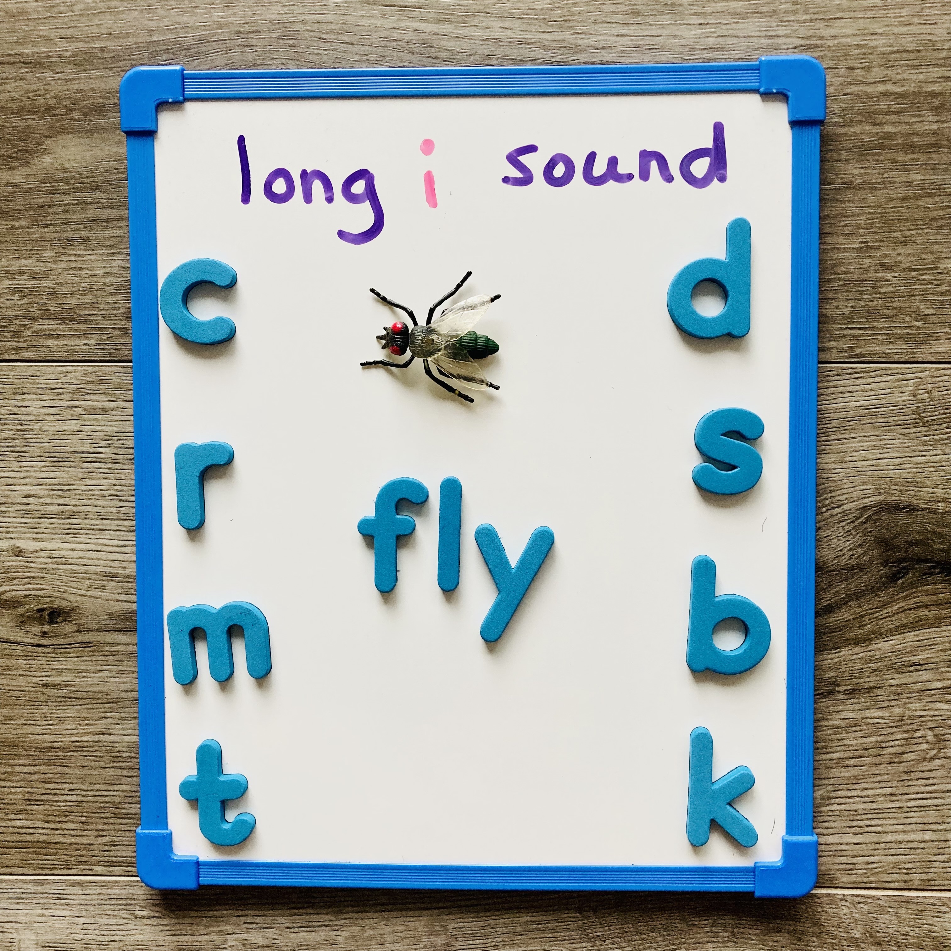 Grapheme and Phoneme Focus - y for long i | High quality literacy ...