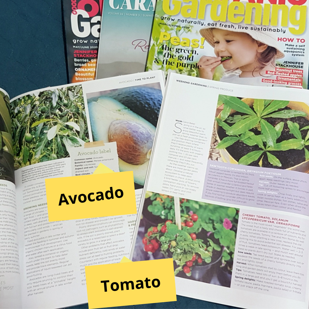 Rhyming Flip It | High quality literacy lesson - Cleverbean