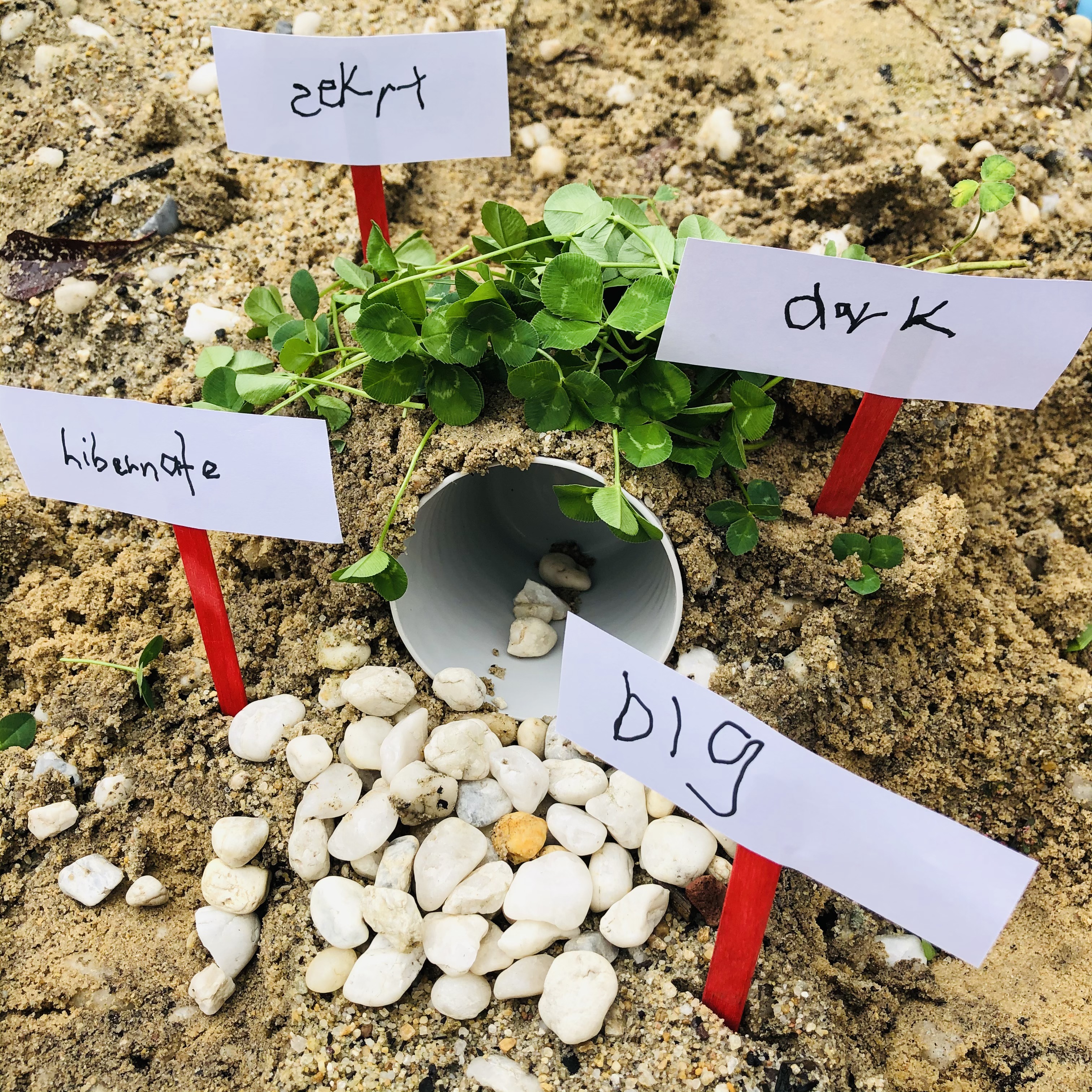 Recreate The Setting | High quality literacy lesson - Cleverbean