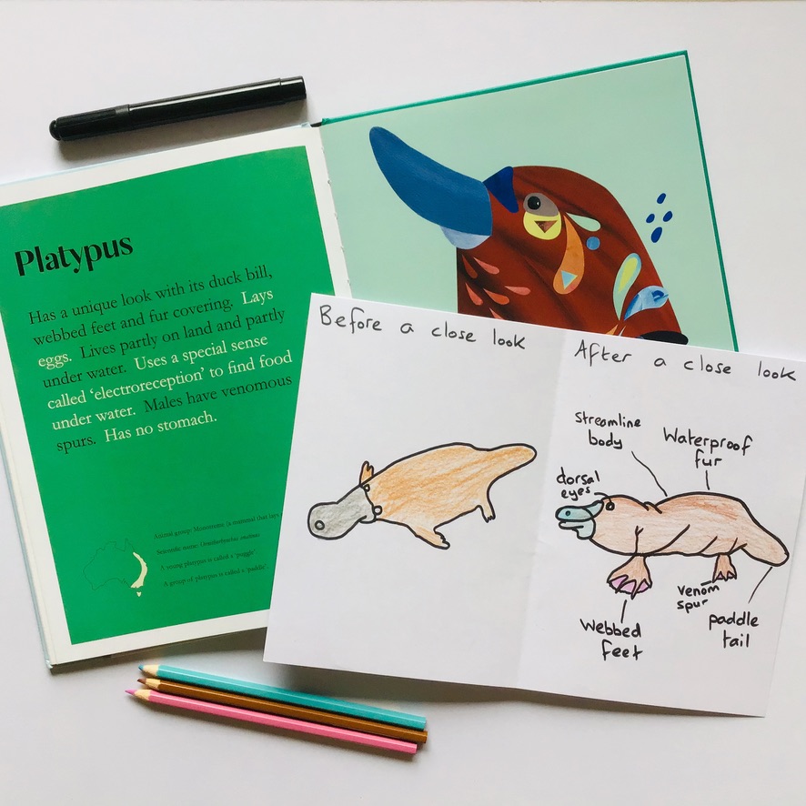 Informative Animal Texts Before And After Diagram Free Book Knowledge informative-animal-texts-before-and-after-diagram-free-book-knowledge
