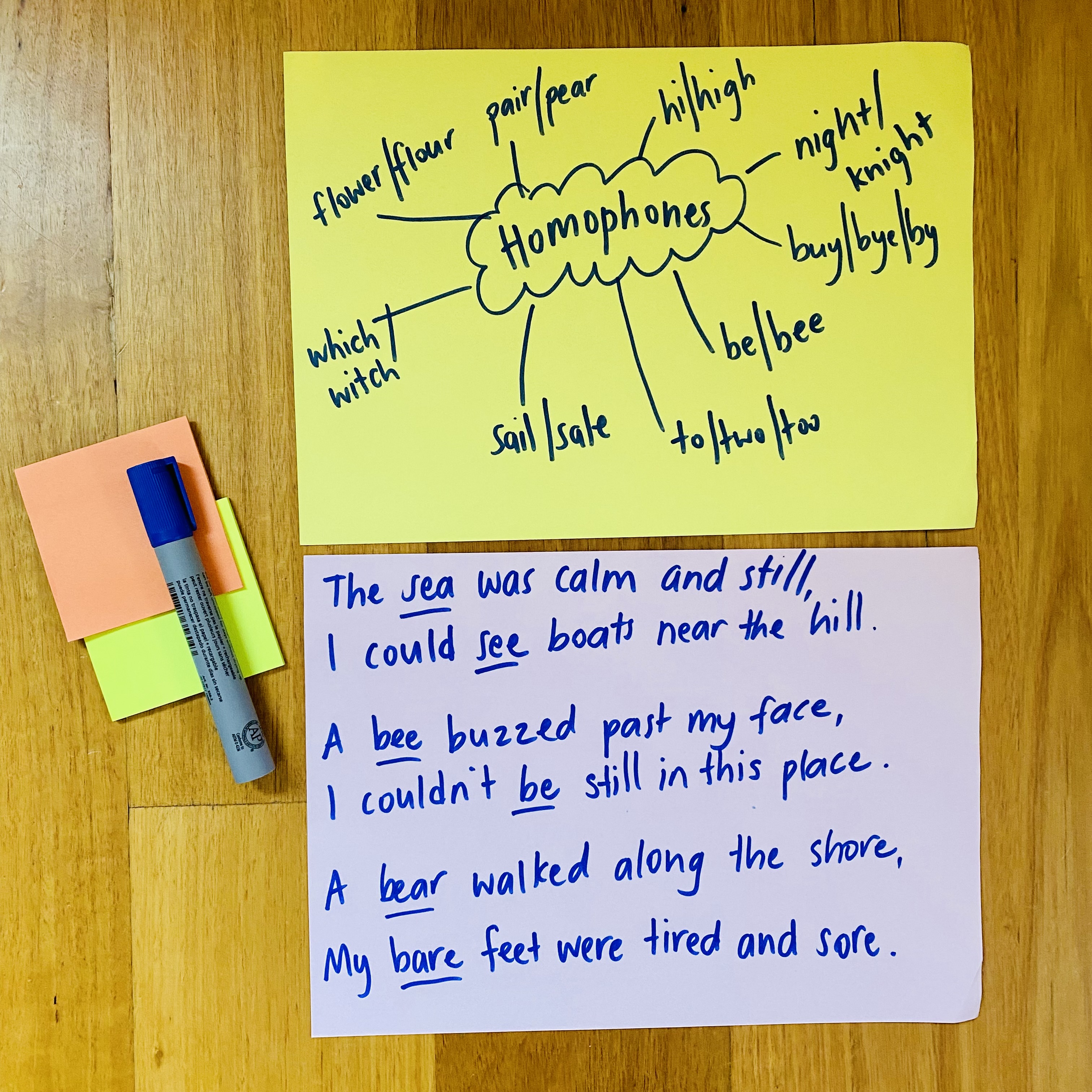 The Power of Poetry - Homophone Poems | High quality literacy lesson ...