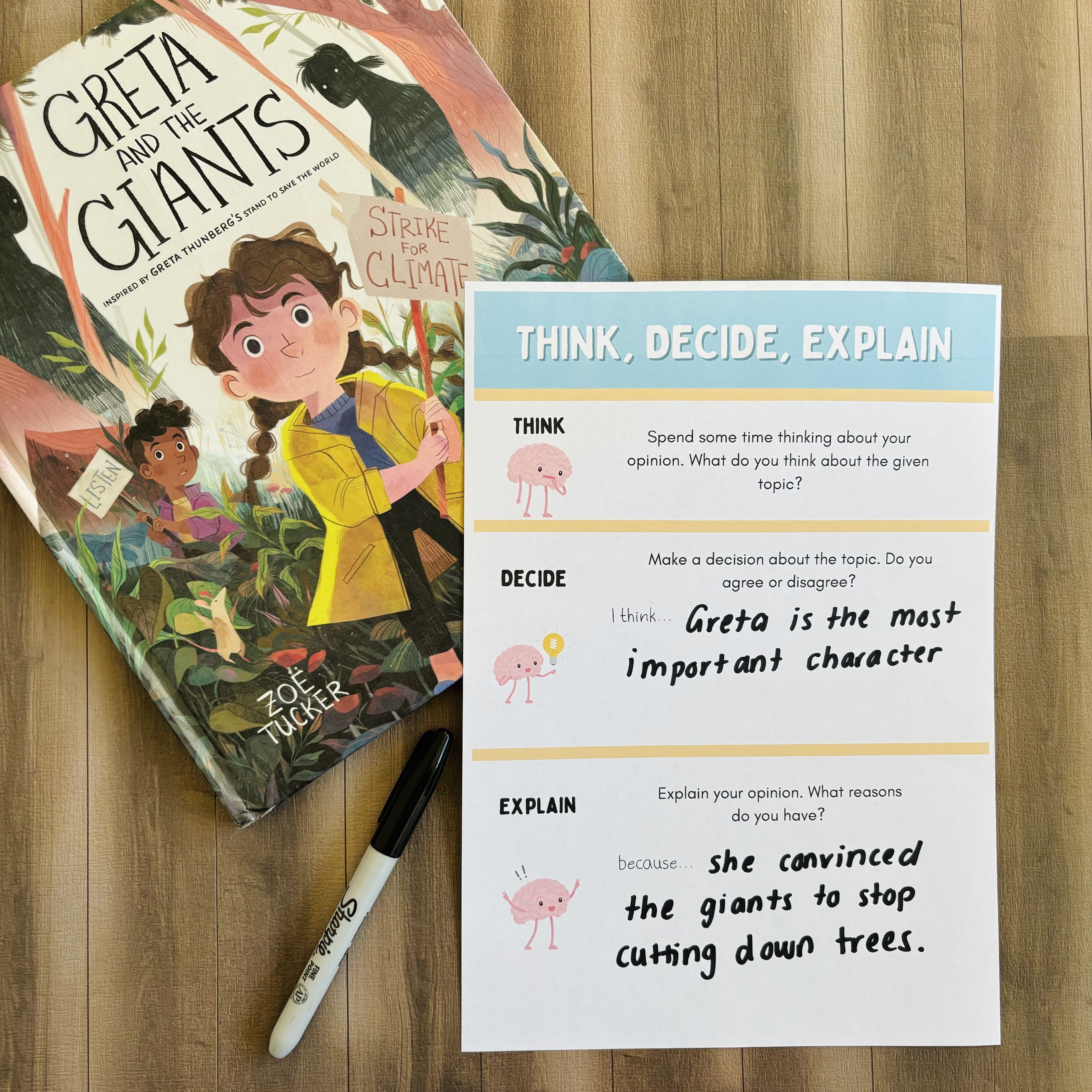 Opinion and Persuasion - Exploring Characters | High quality literacy ...