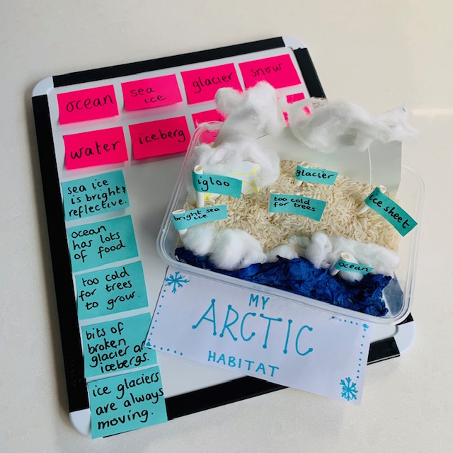 Non Fiction - Animal Habitat | Cleverbean