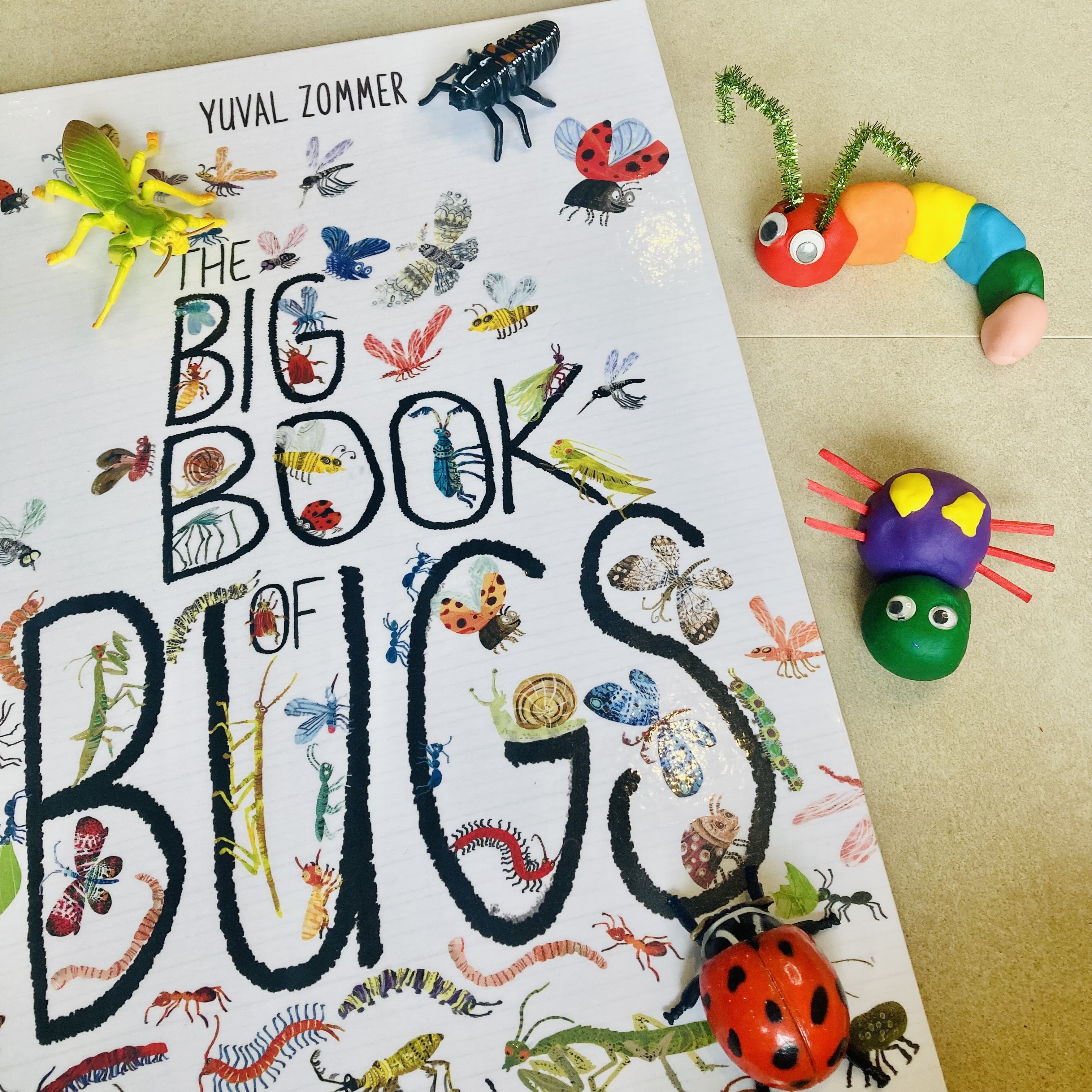 Phonic Companion Set 2 - Focus Bb | High quality literacy lesson ...