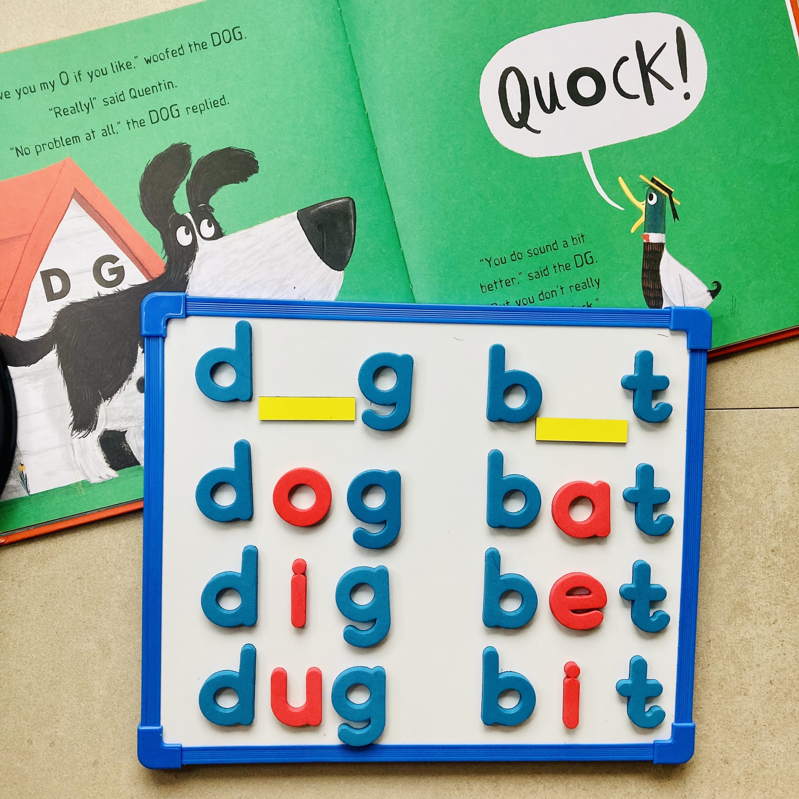 Phonic Companion Set 3 - Focus Qq | High quality literacy lesson ...