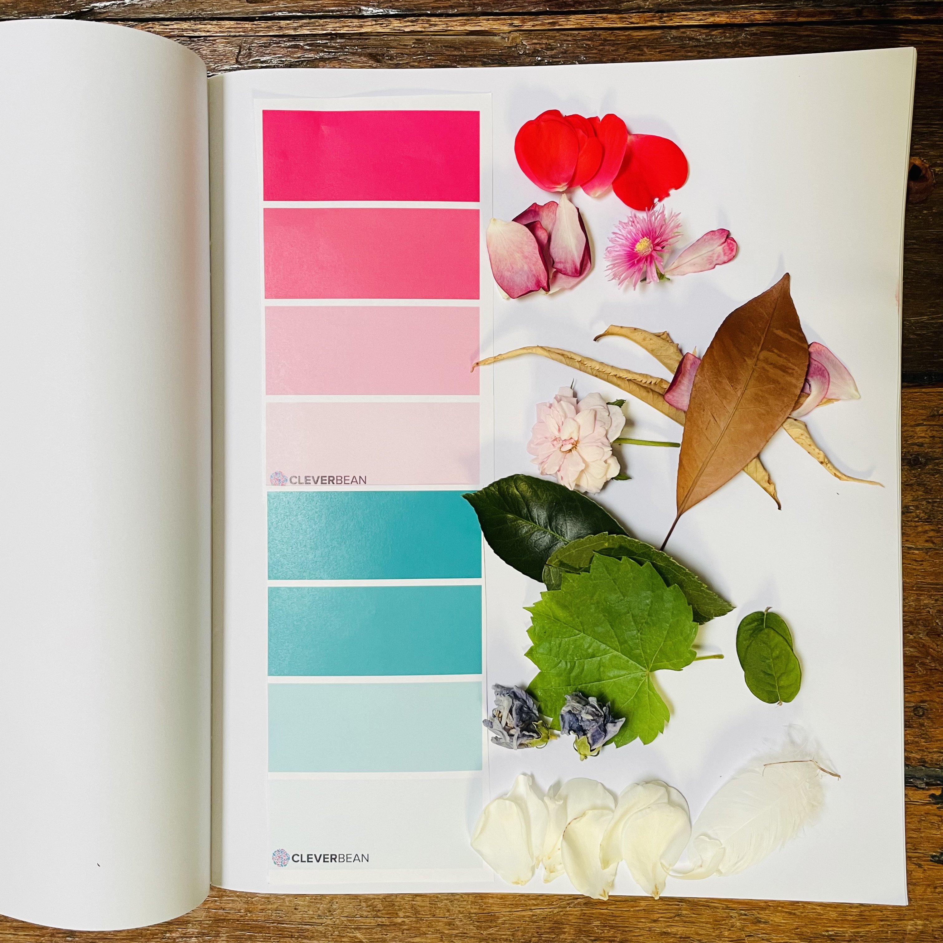 Collecting Colour - Colour Walk|Free Comprehension Connecting Reading ...