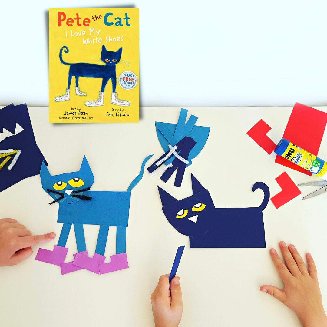 Phonics Companion Set 1 - Focus Cc | High quality literacy lesson ...