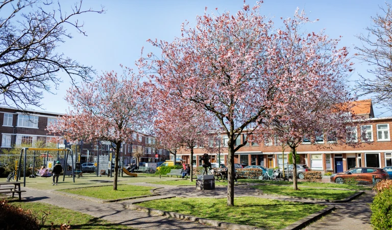 Buurten met makelaars: slim zoeken in Den Haag | Funda