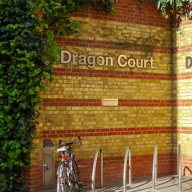 Spotlight on... Dragon Court