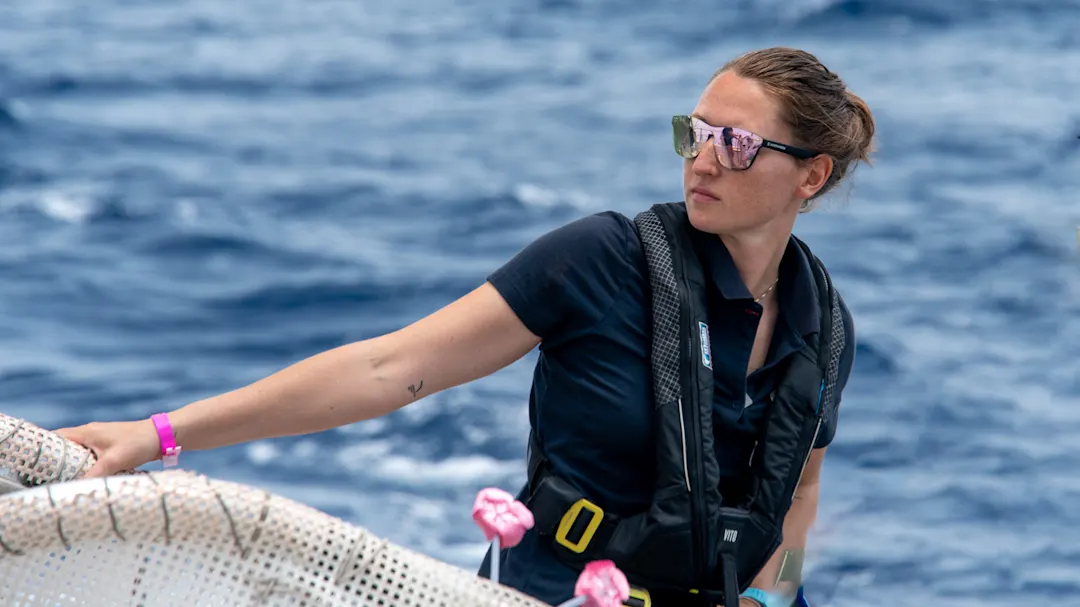 Clipper 2025-26 Race Edition | Clipper Round the World Yacht Race ...