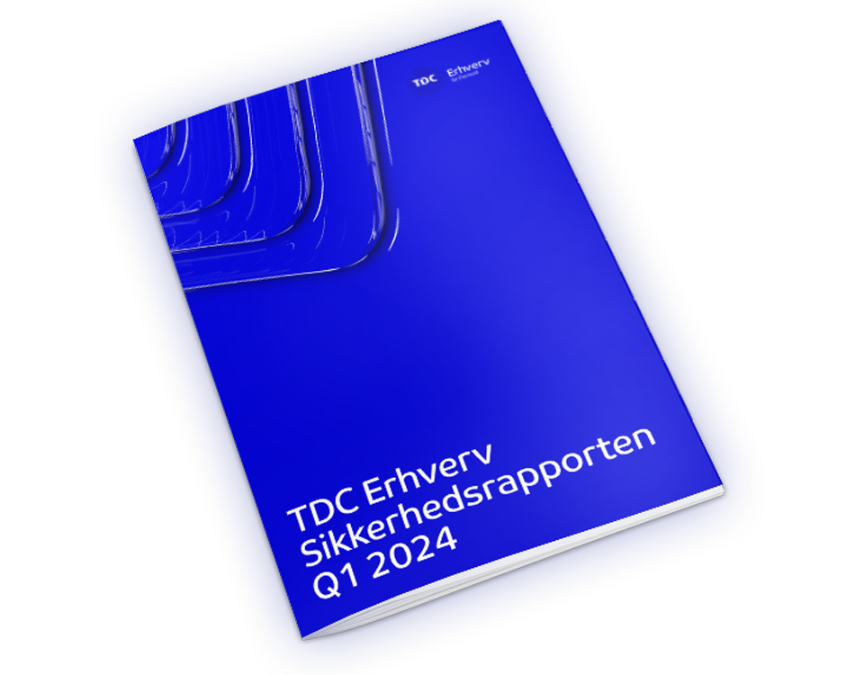 Større virksomheder og offentlige sektorer